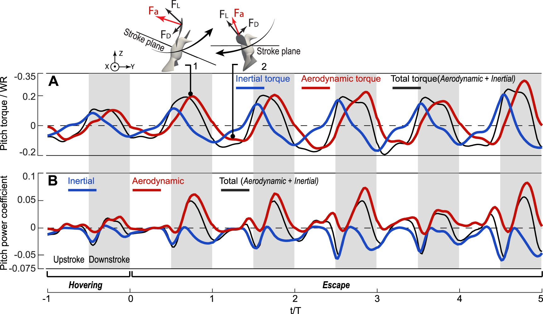 Active wing-pitching mechanism in hummingbird escape maneuvers - IOPscience