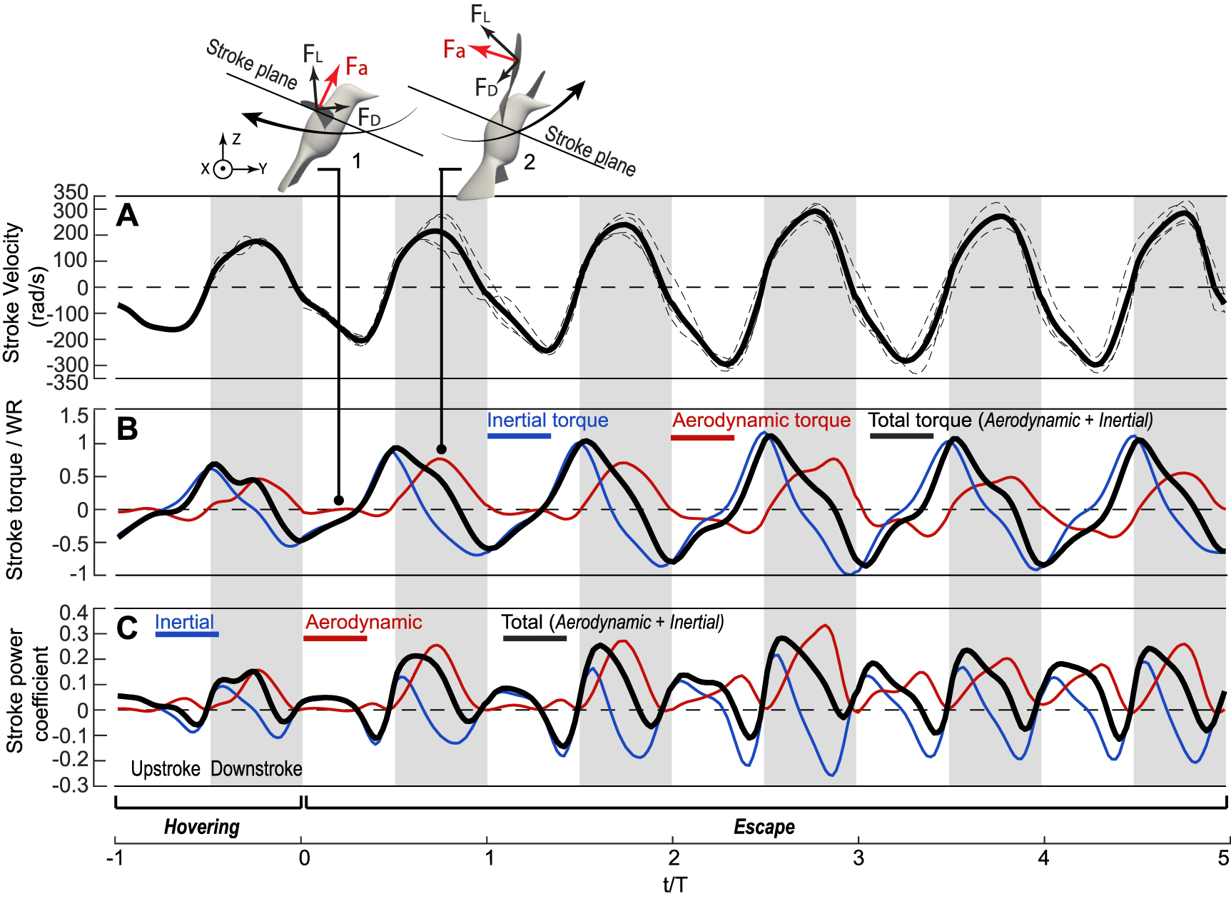 Active wing-pitching mechanism in hummingbird escape maneuvers - IOPscience
