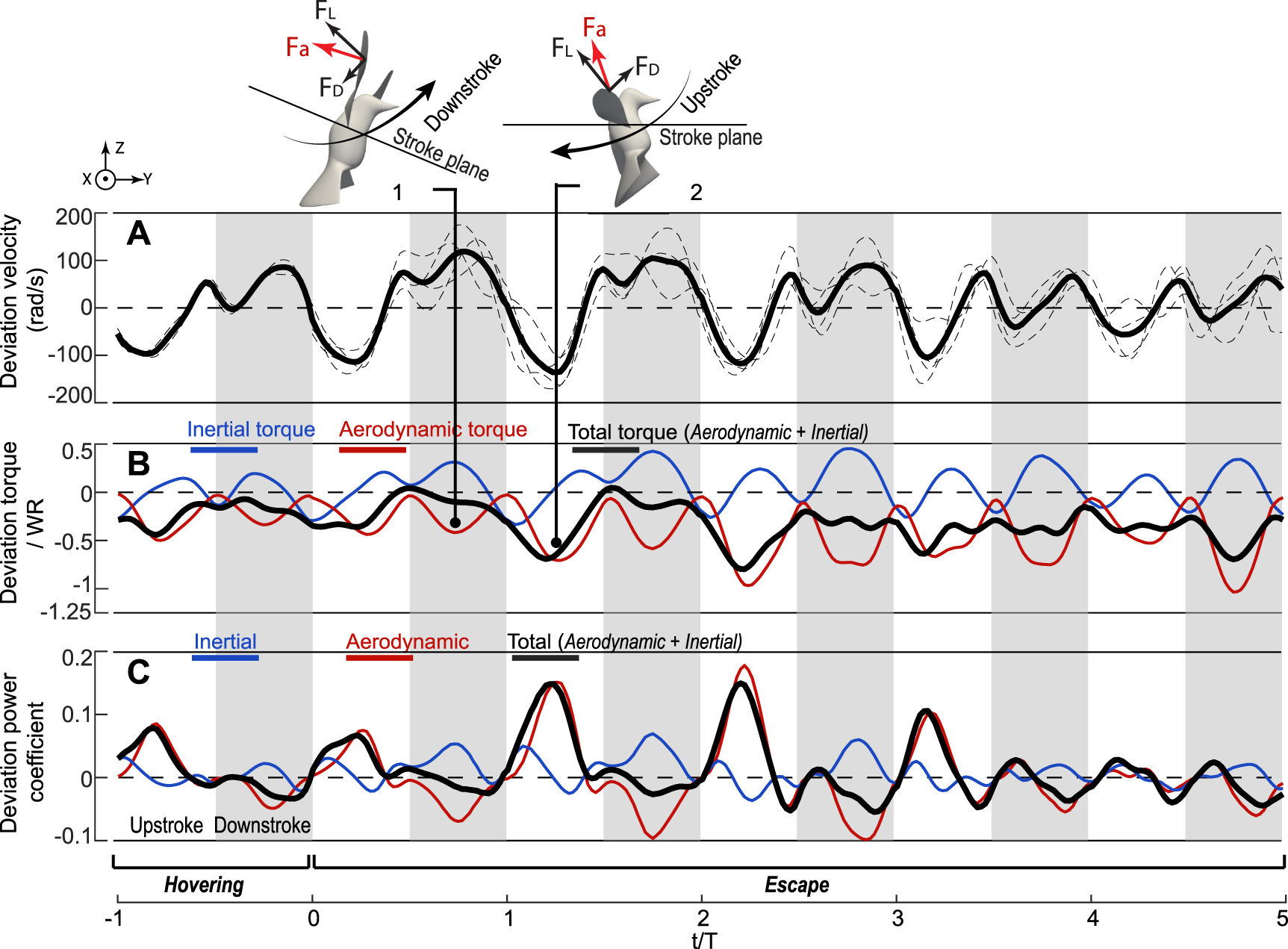 Active wing-pitching mechanism in hummingbird escape maneuvers - IOPscience