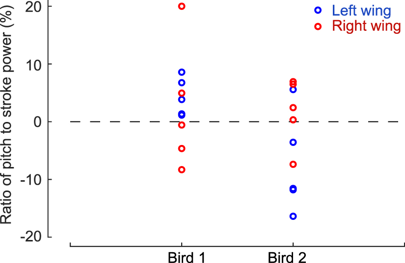Active wing-pitching mechanism in hummingbird escape maneuvers - IOPscience