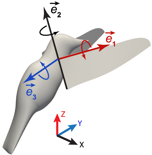 Active wing-pitching mechanism in hummingbird escape maneuvers - IOPscience