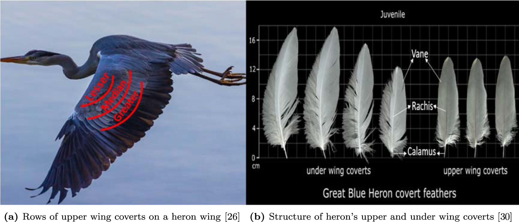 Feather-inspired flow control device across flight regimes - IOPscience