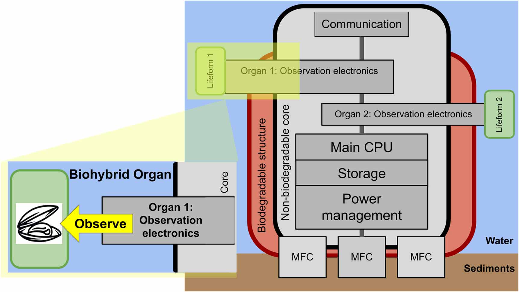 Organisms as sensors in biohybrid entities as a novel tool for in-field ...