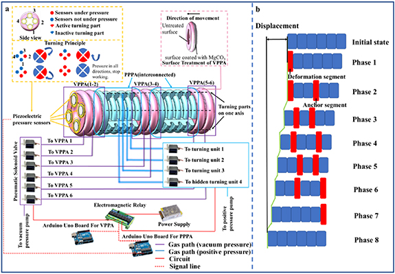Multimodal steerable earthworm-inspired soft robot based on vacuum and ...