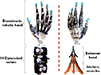Journey from human hands to robot hands: biological inspiration of ...