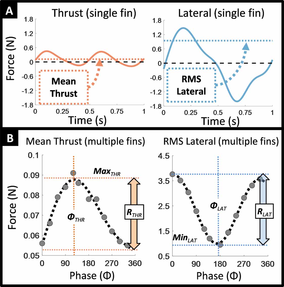 Fish robotics: multi-fin propulsion and the coupling of fin phase ...