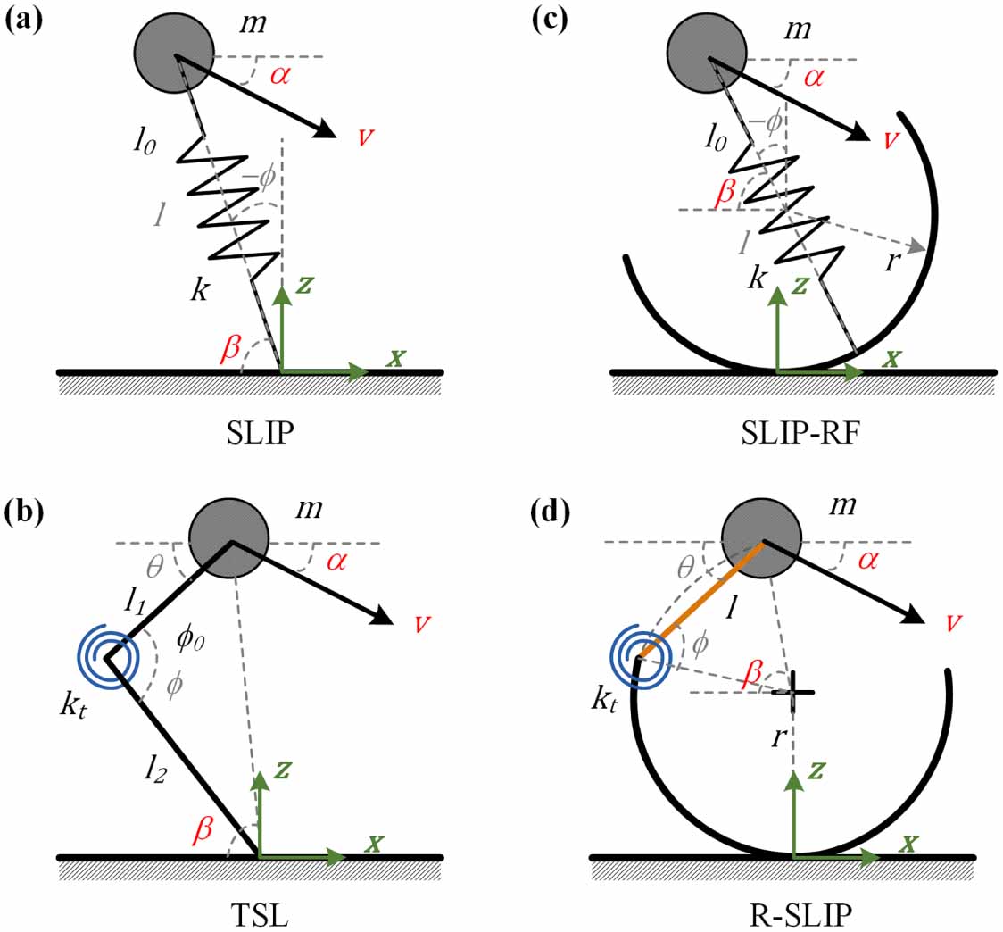 The generalized spring-loaded inverted pendulum model for analysis of ...