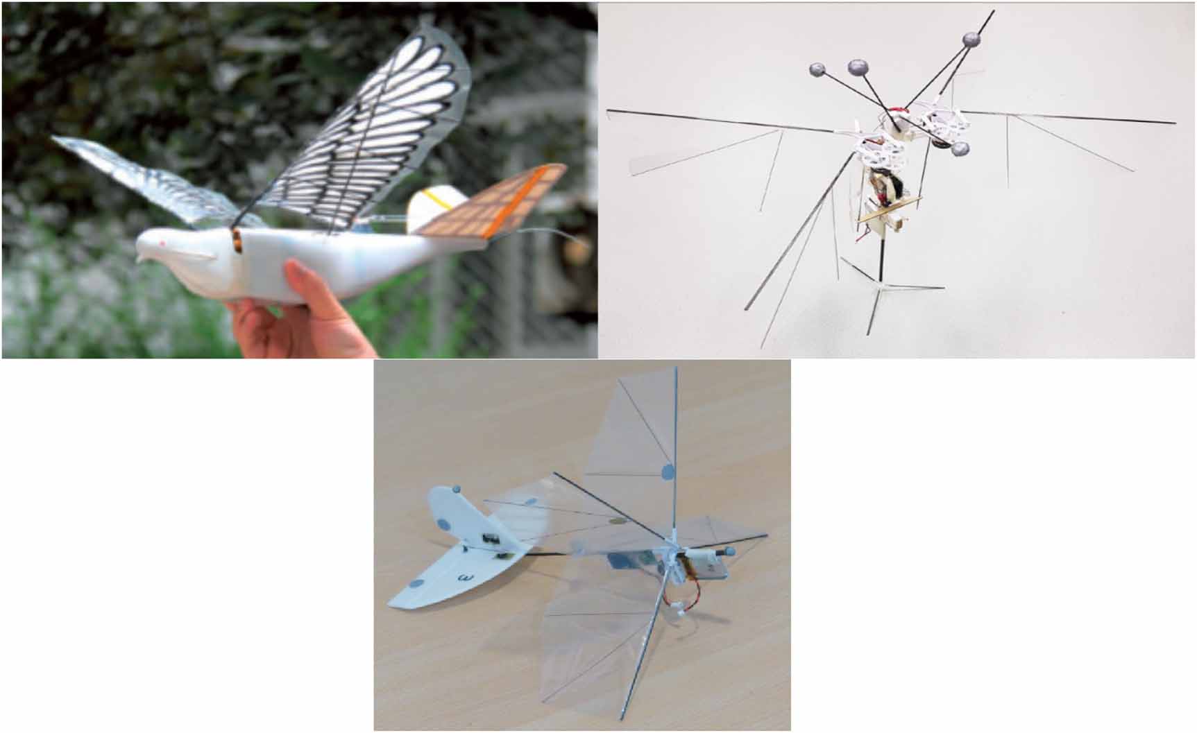 Landing and take-off capabilities of bioinspired aerial vehicles: a ...