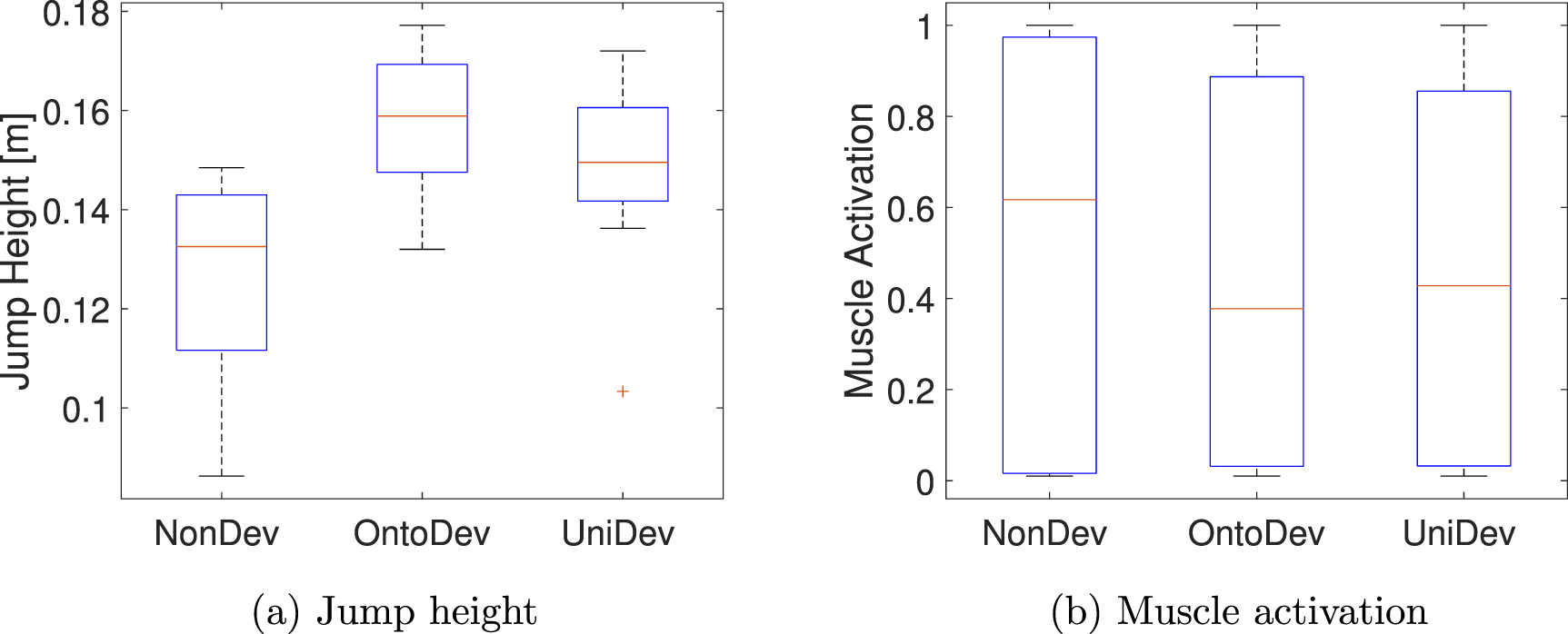 Enhancing stance robustness and jump height in bipedal muscle-actuated ...