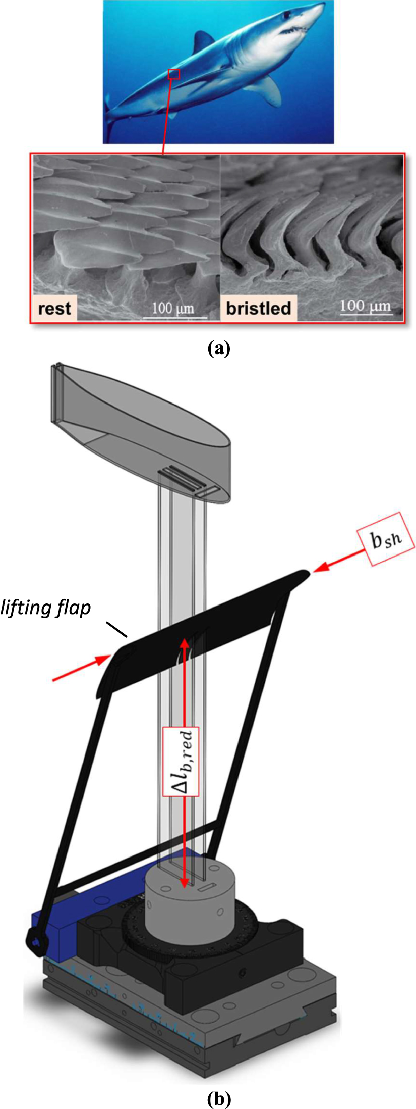 Adaptivity of a leaf-inspired wind energy harvester with respect to ...
