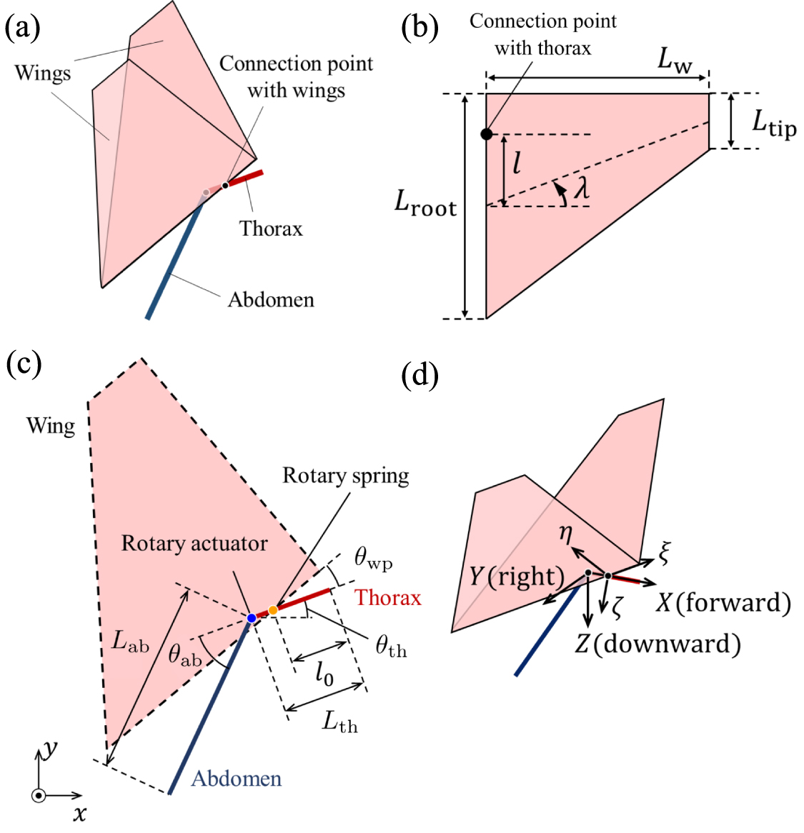 Bottom-up butterfly model with thorax-pitch control and wing-pitch ...