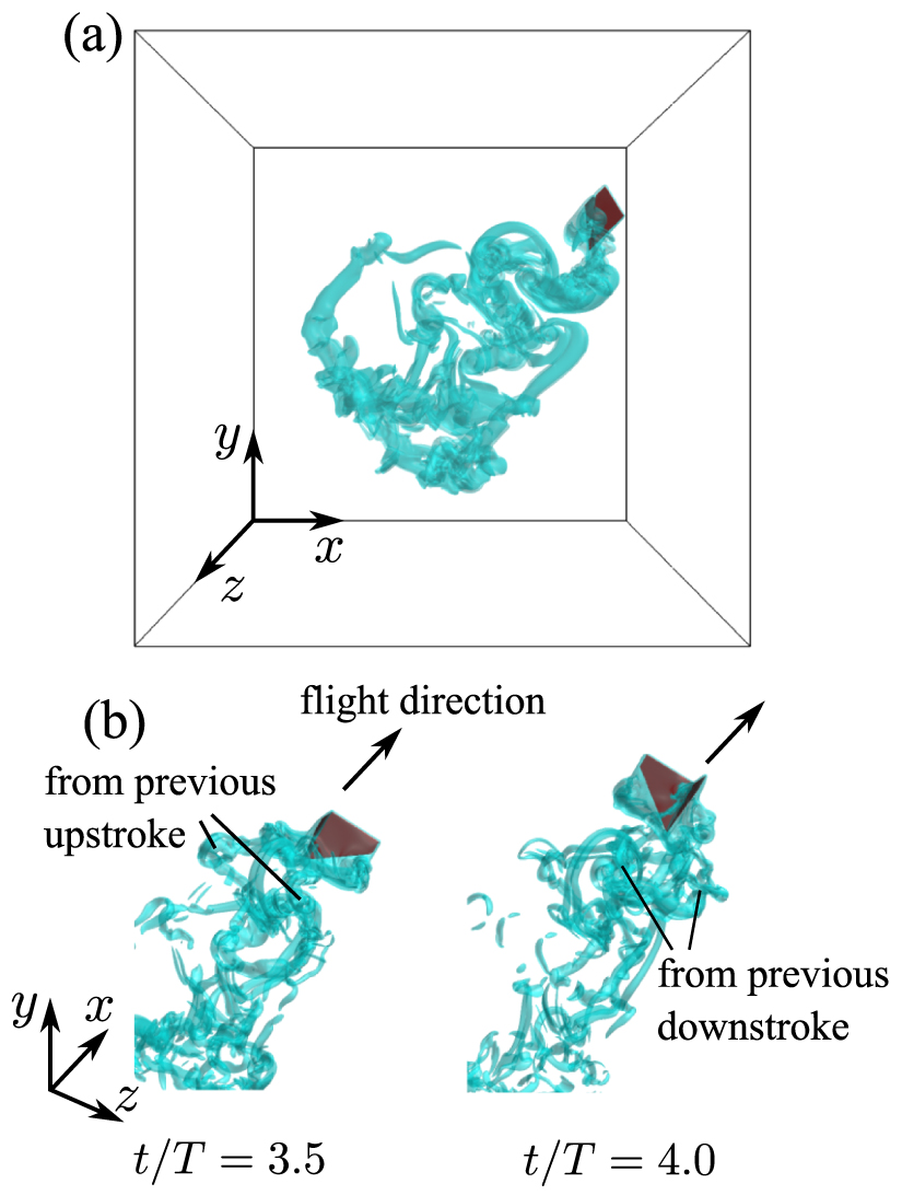 Bottom-up butterfly model with thorax-pitch control and wing-pitch ...