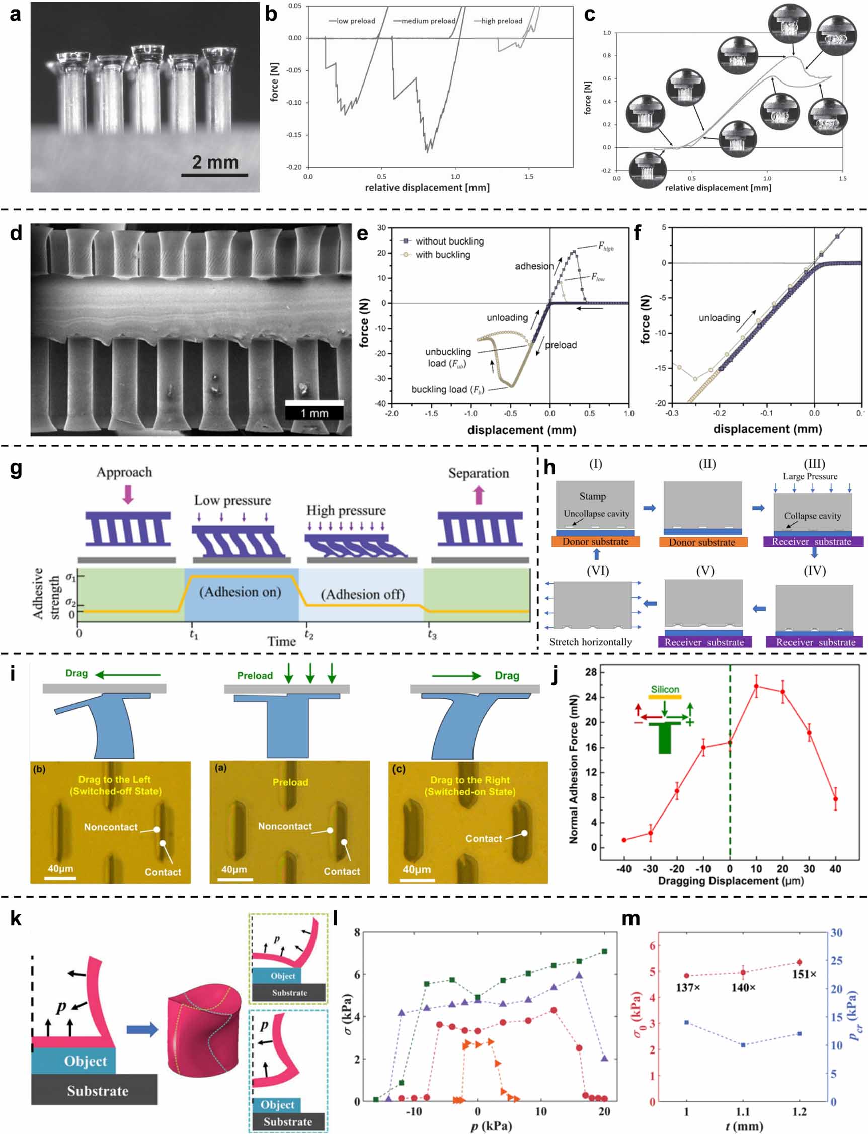 A review of bioinspired dry adhesives: from achieving strong adhesion ...