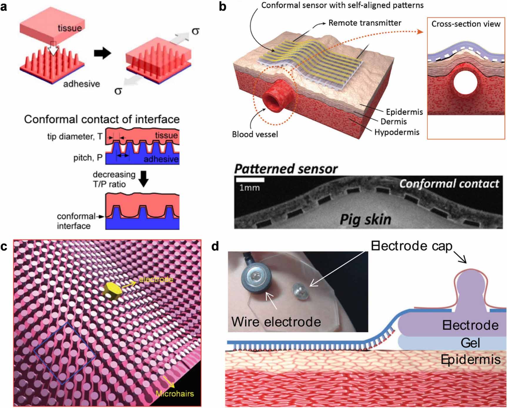 A review of bioinspired dry adhesives: from achieving strong adhesion ...