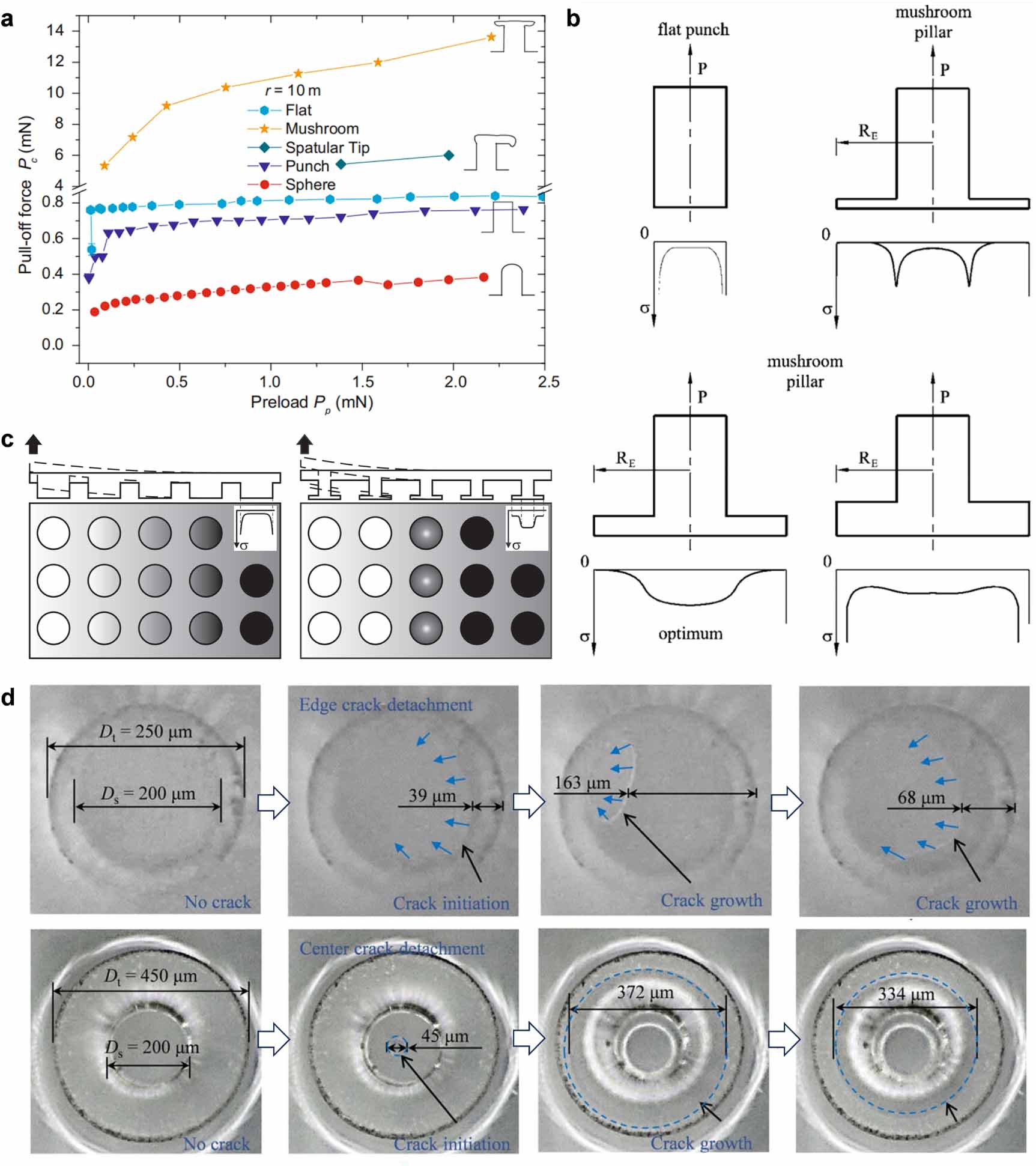 A review of bioinspired dry adhesives: from achieving strong adhesion ...