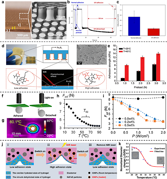 A review of bioinspired dry adhesives: from achieving strong adhesion ...