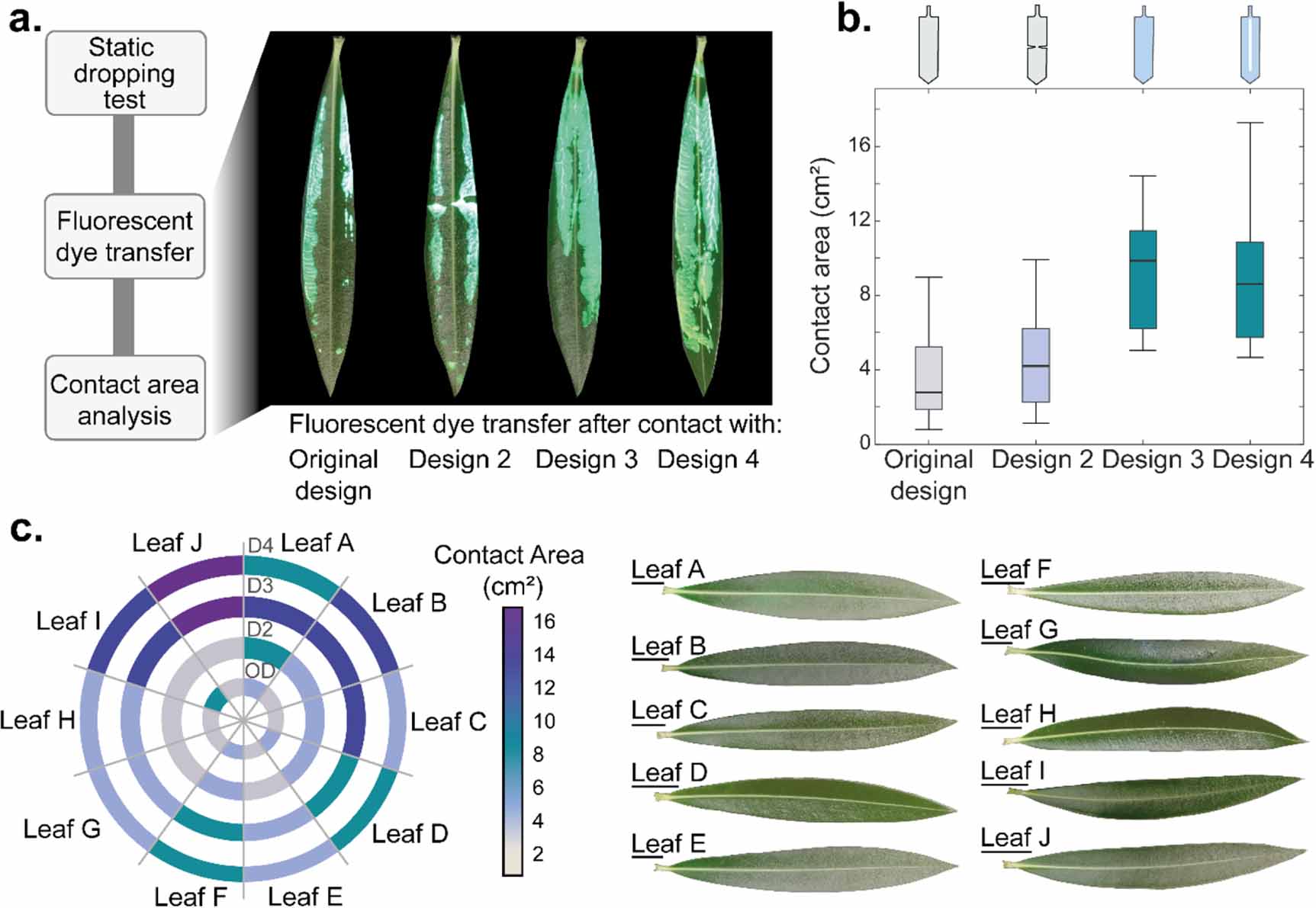Charge generation by passive plant leaf motion at low wind speeds ...