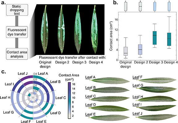 Charge generation by passive plant leaf motion at low wind speeds ...