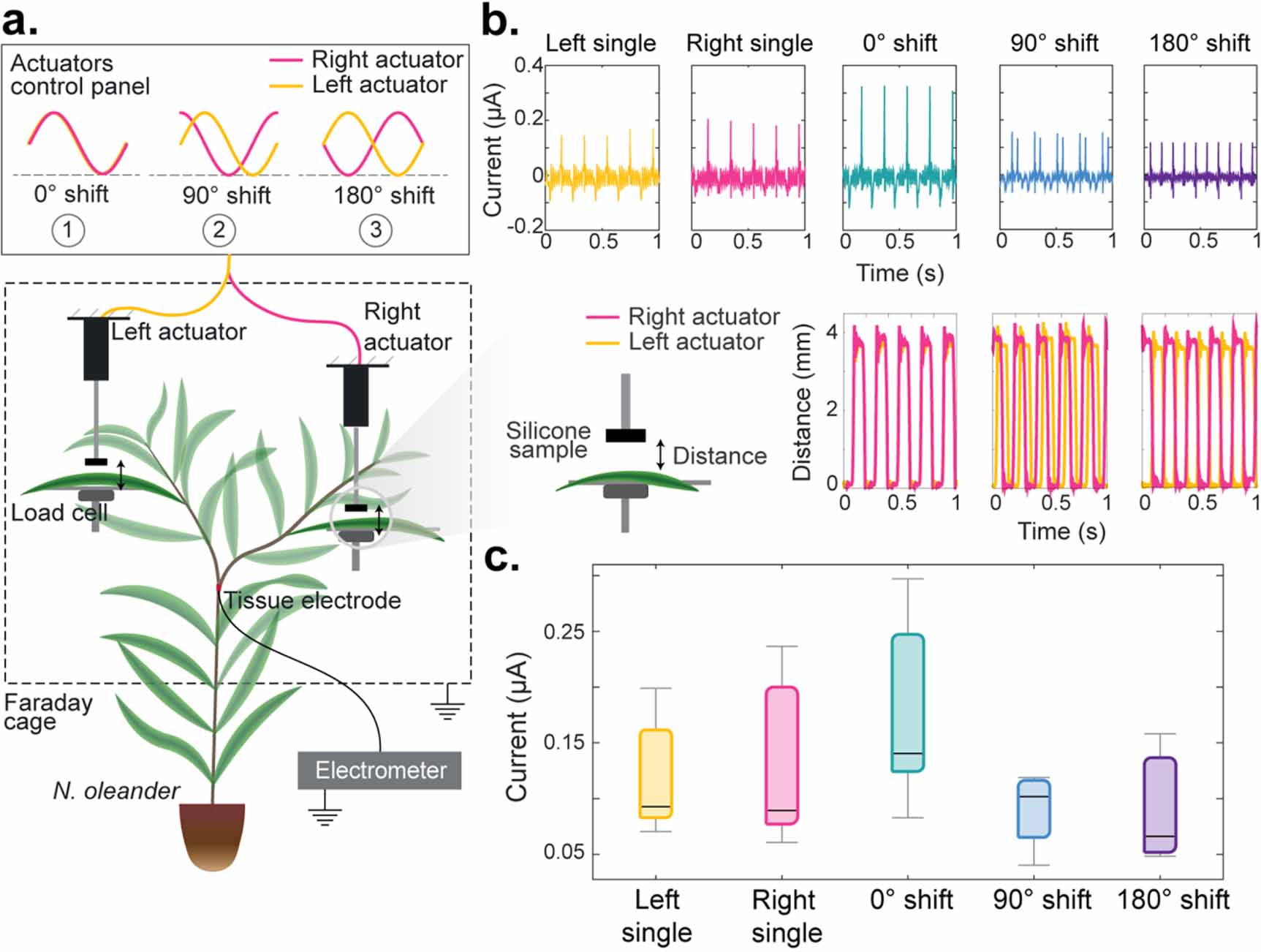Charge generation by passive plant leaf motion at low wind speeds ...