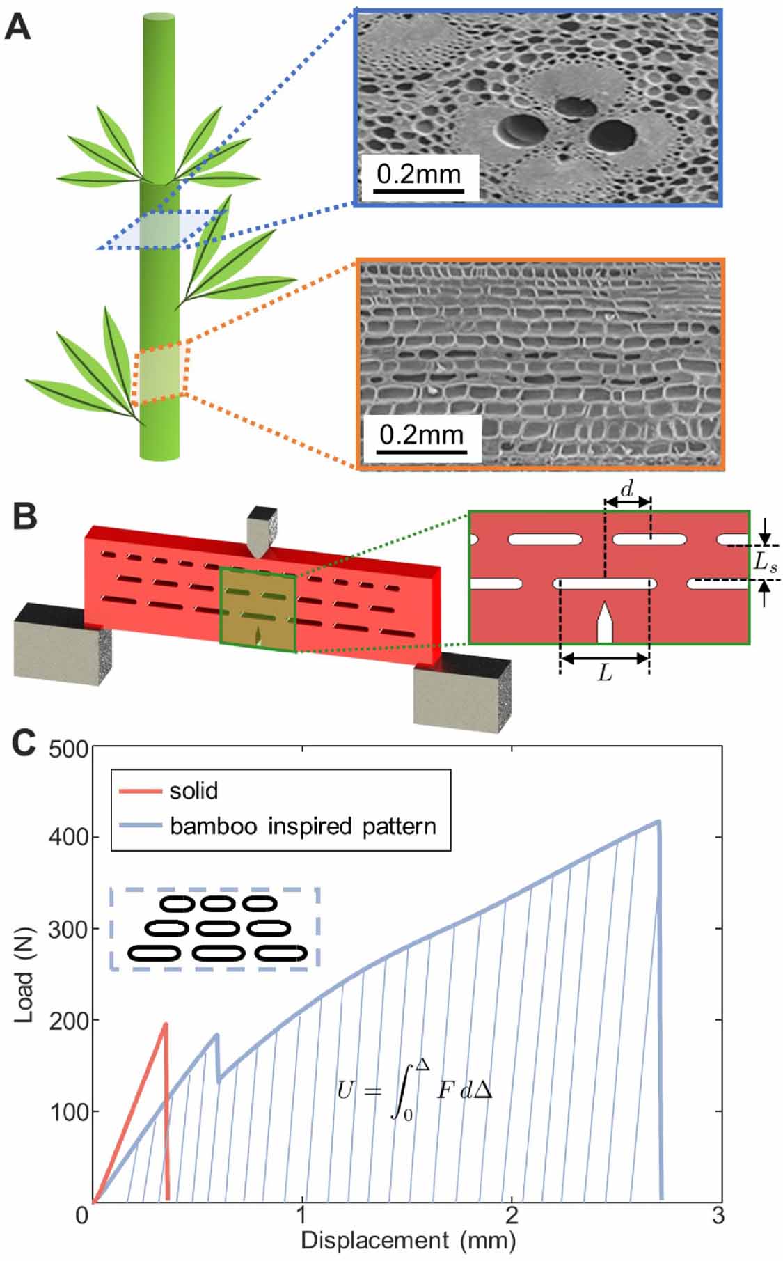 Improving structural damage tolerance and fracture energy via bamboo-inspired void patterns ...