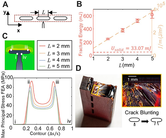 Improving structural damage tolerance and fracture energy via bamboo ...