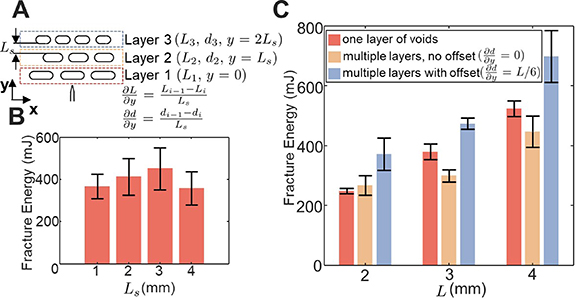 Improving structural damage tolerance and fracture energy via bamboo ...