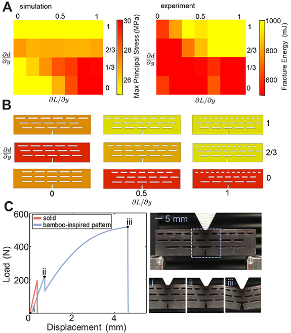 Improving structural damage tolerance and fracture energy via bamboo ...