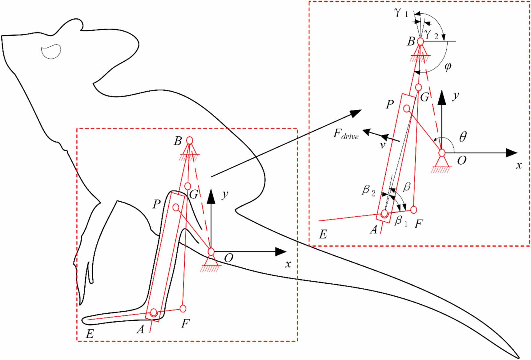 Design of a bipedal robot for water running based on a six-linkage ...