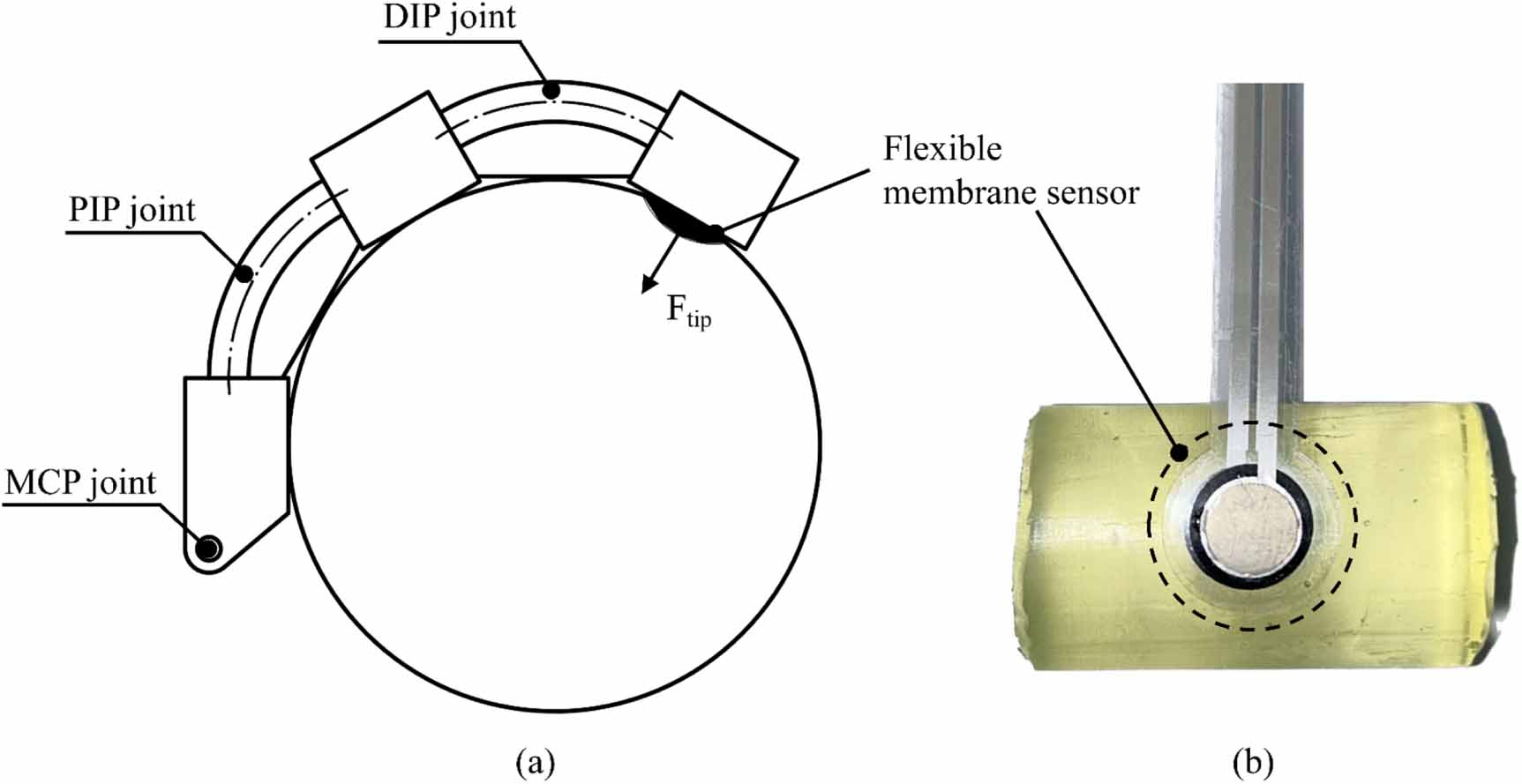 Towards higher load capacity: innovative design of a robotic hand with ...