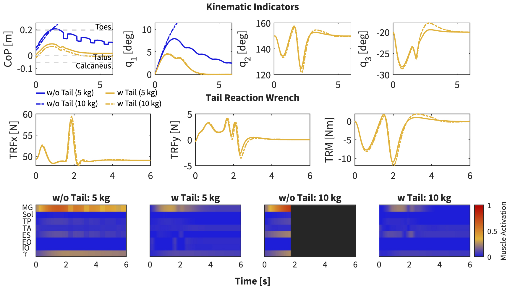 Modelling human postural stability and muscle activation augmented by a ...