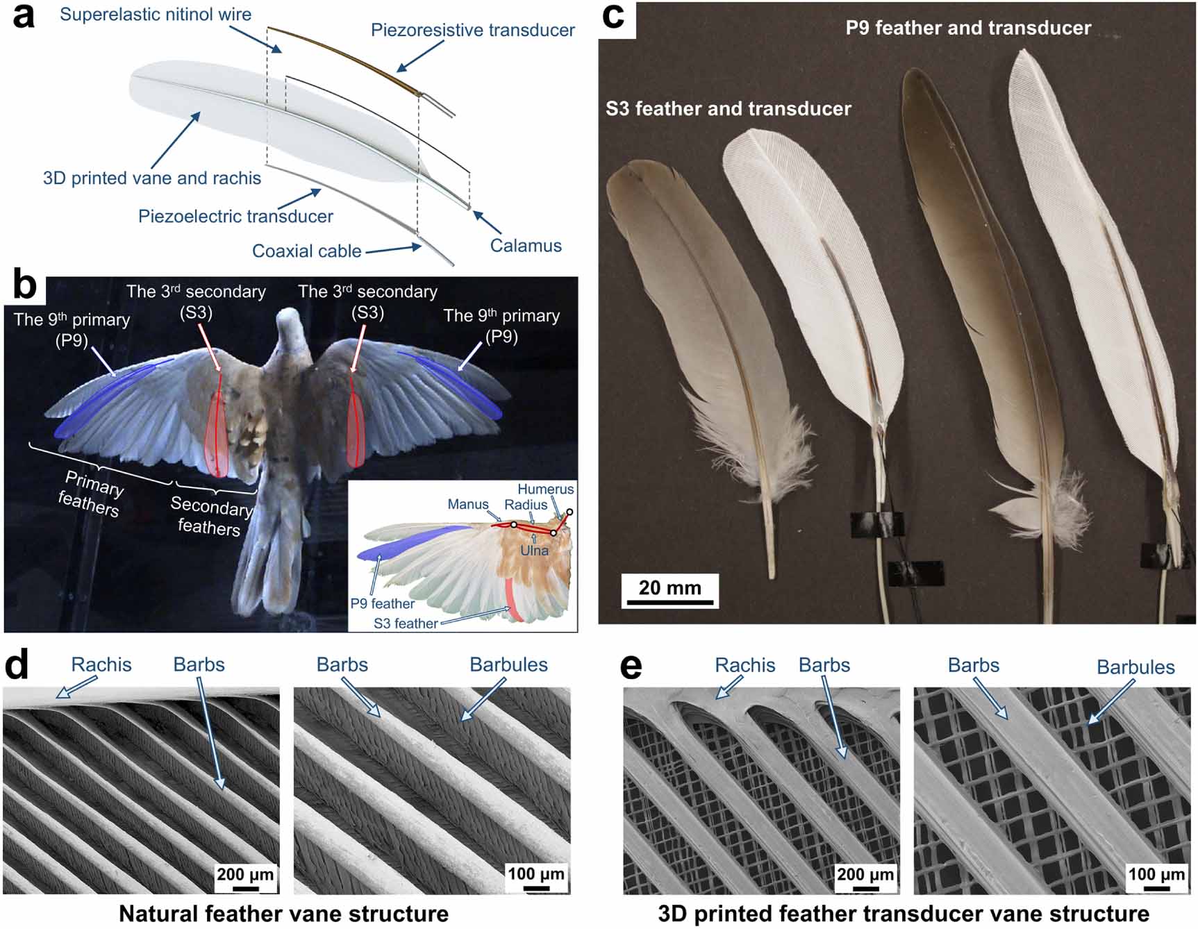 3D printed feathers with embedded aerodynamic sensing - IOPscience