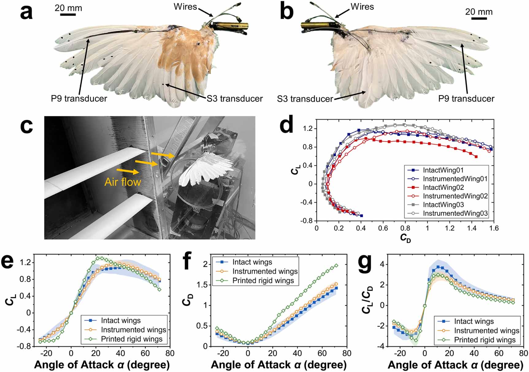 3D printed feathers with embedded aerodynamic sensing - IOPscience