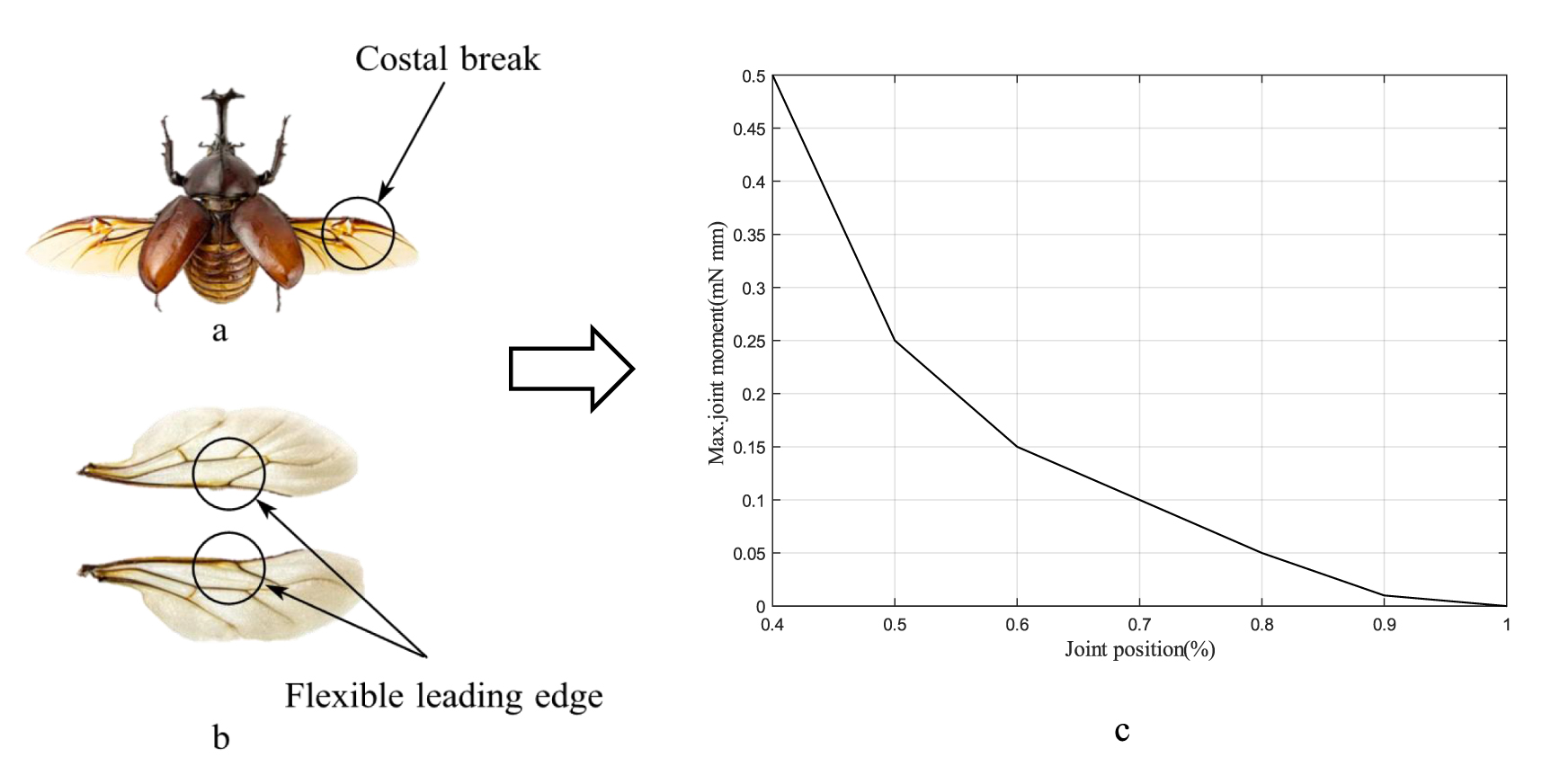 Insect-inspired passive wing collision recovery in flapping wing ...