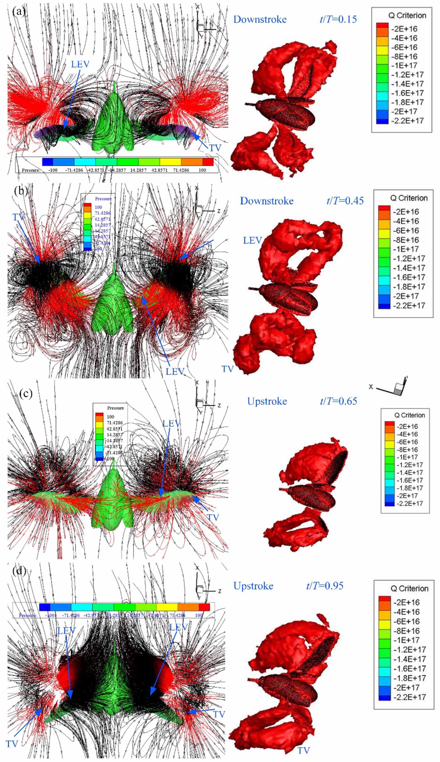 A wing-flapping robot with a bio-inspired folding mechanism derived ...