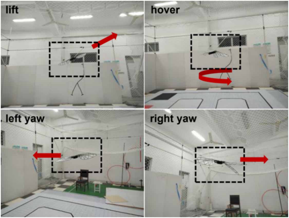 Design and implementation of an independent-drive bionic dragonfly ...