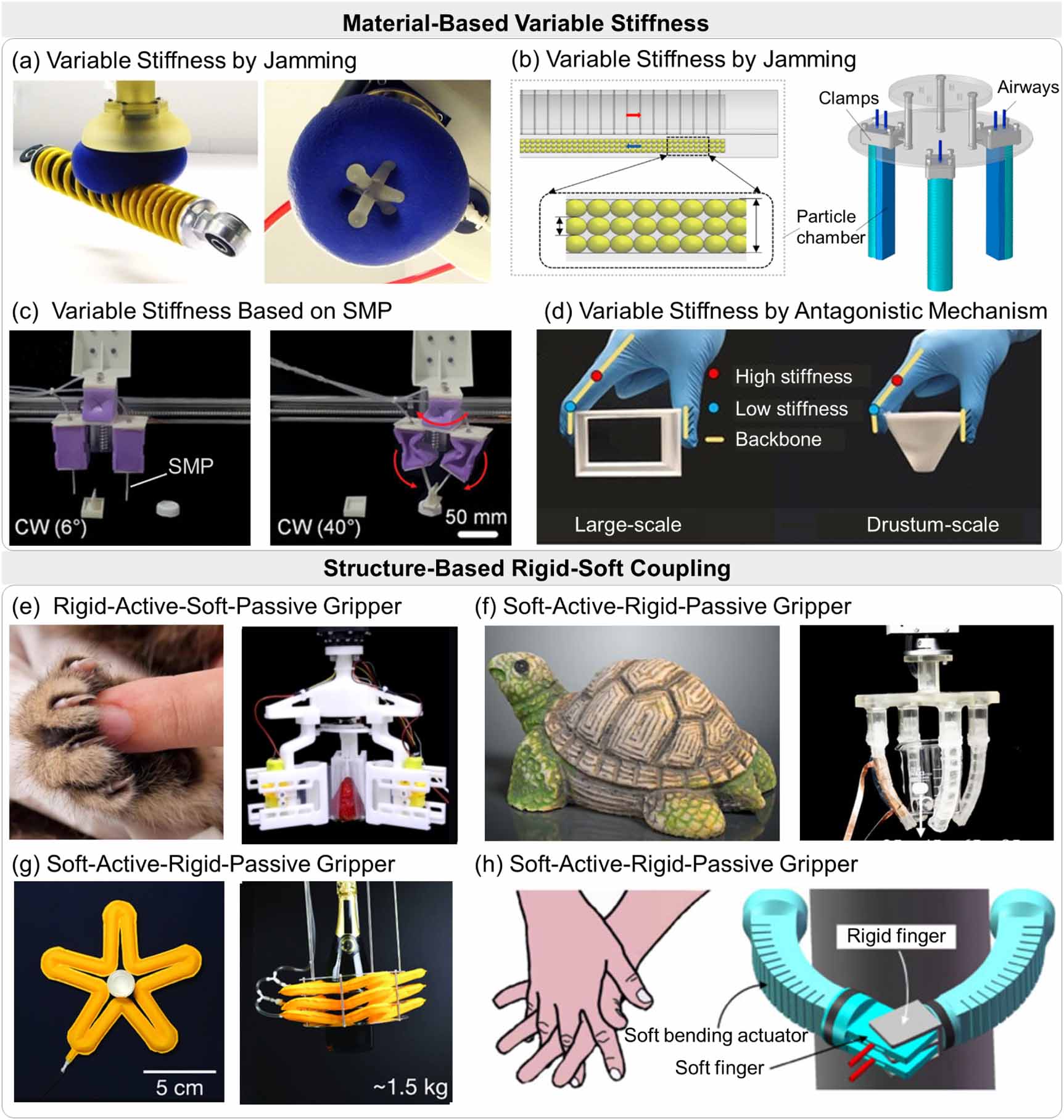 Bio-inspired multimodal soft grippers: a review - IOPscience