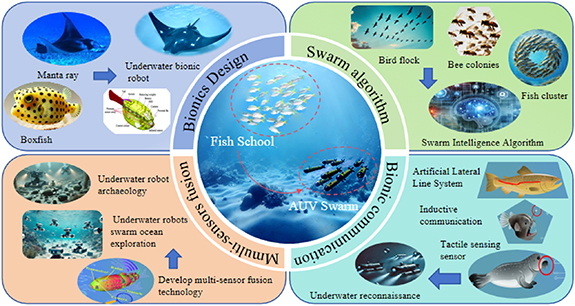 Bio-inspired swarm of underwater robots: a review - IOPscience