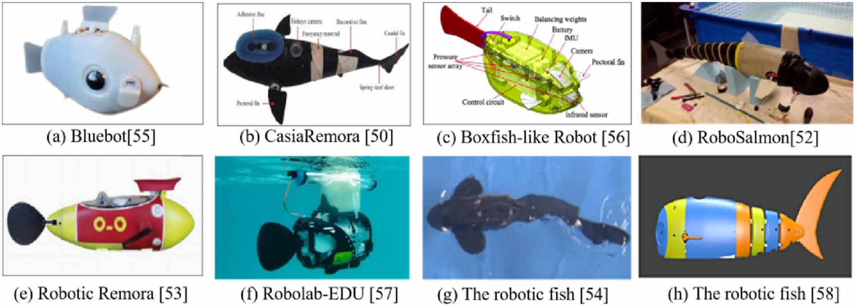 Bio-inspired swarm of underwater robots: a review - IOPscience