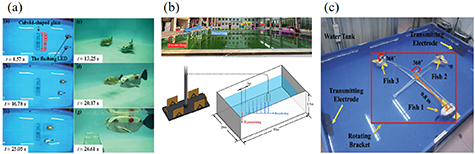 Bio-inspired swarm of underwater robots: a review - IOPscience