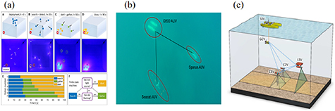 Bio-inspired swarm of underwater robots: a review - IOPscience