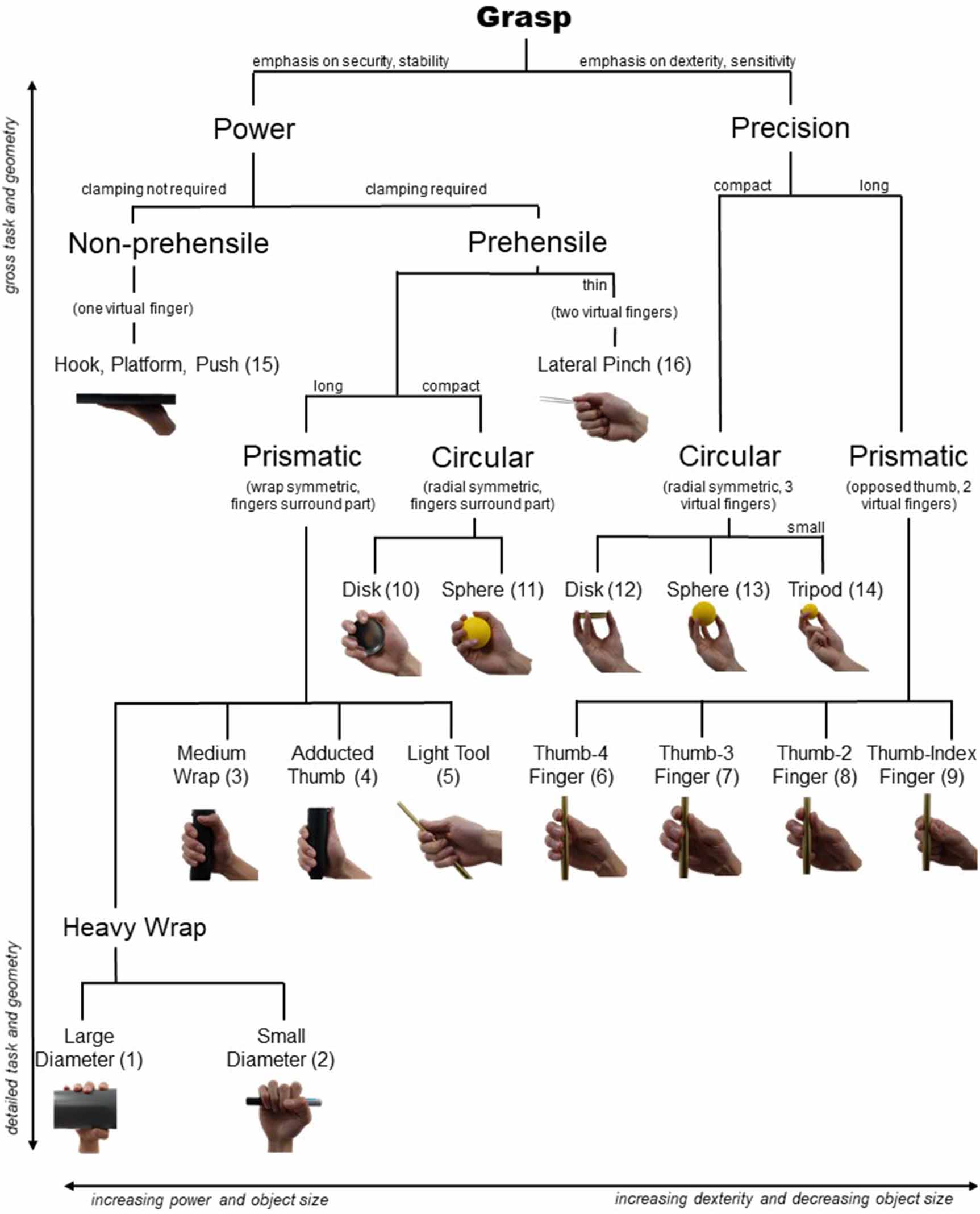A comprehensive review of dexterous robotic hands: design ...