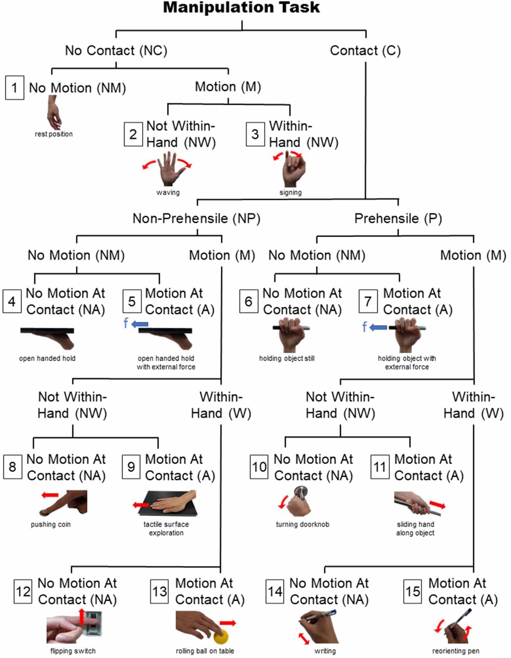 A comprehensive review of dexterous robotic hands: design ...
