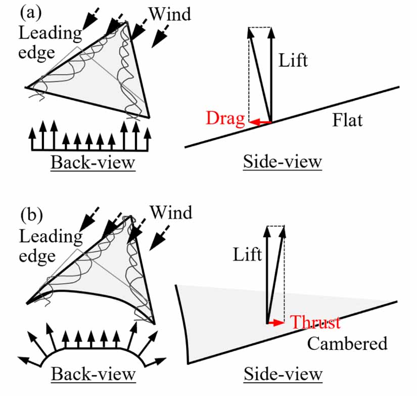 Bird-inspired flexible tail improves aerodynamic performance of fixed ...