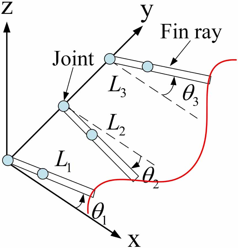 Design and control of a bioinspired underwater robot with hydrogel ...