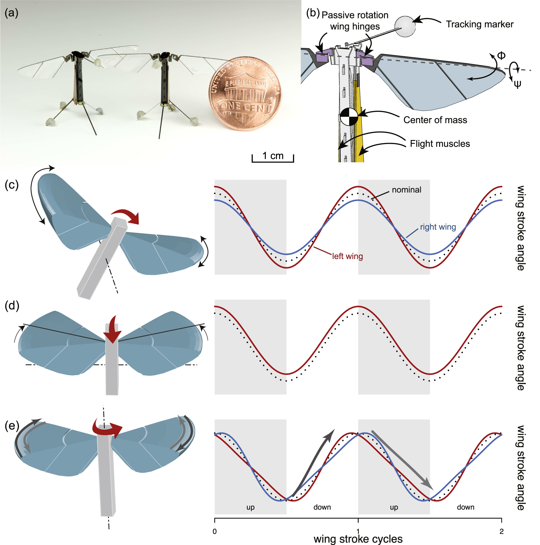 Adaptive control of a millimeter-scale flapping-wing robot - IOPscience