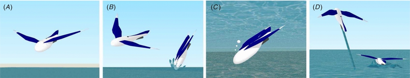 Launching the AquaMAV: bioinspired design for aerial–aquatic robotic platforms - IOPscience