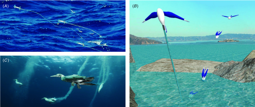 Launching the AquaMAV: bioinspired design for aerial–aquatic robotic platforms - IOPscience