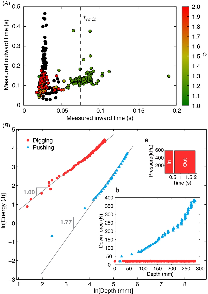 Razor clam to RoboClam: burrowing drag reduction mechanisms and their ...