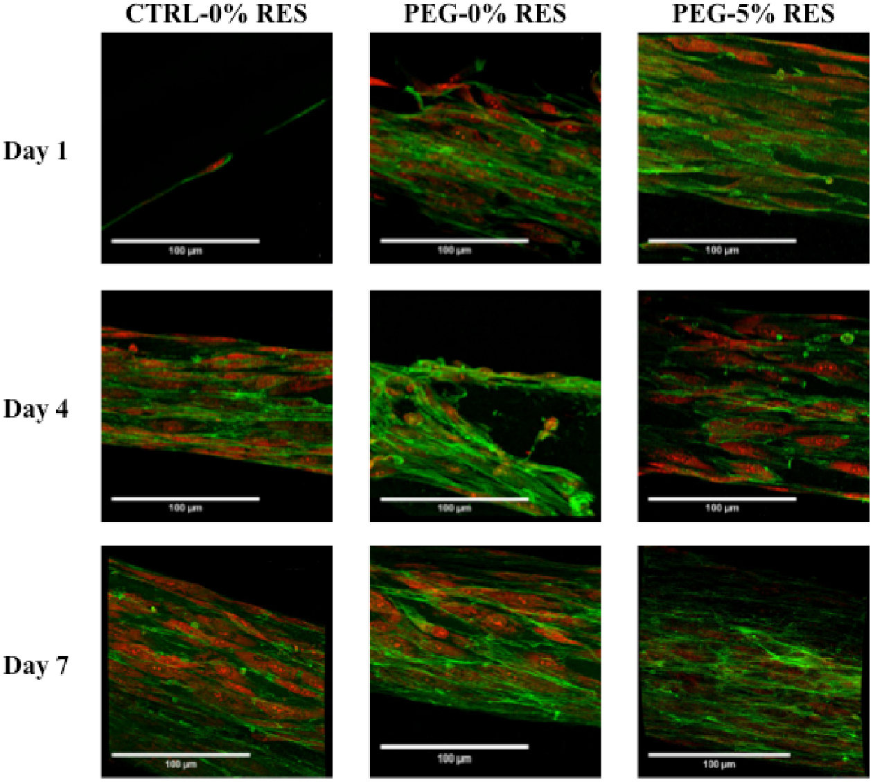Biophysical and biological characterisation of collagen/resilin-like ...