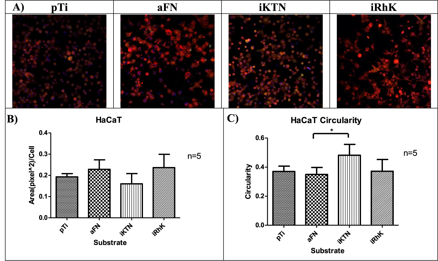 A comparative study of materials assembled from recombinant K31 and K81 ...